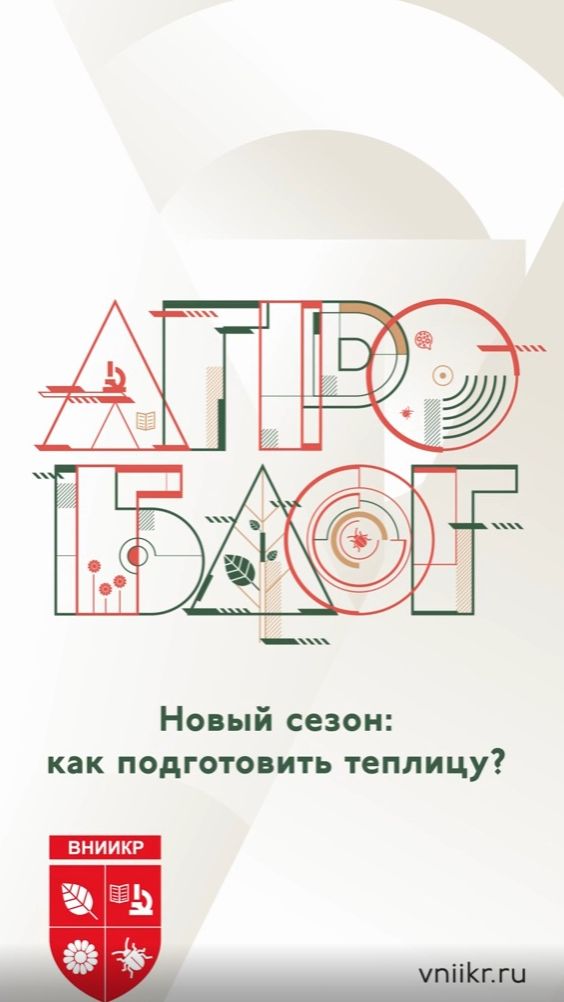 Как подготовить теплицу к новому сезону