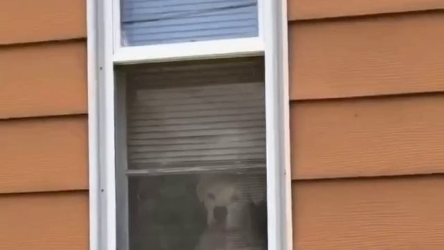 Он очень серьезно относится к своей работе