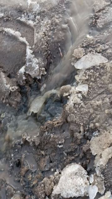 Бегут ручьи, зиме конец, весне начало! Ручьи на дорогах, верба цветёт, время корабликов, детство