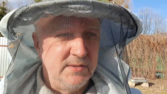 Когда начинается роевой период