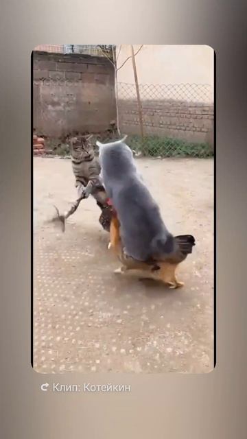 🤭😆😆😆😆😆😆🤣🤣🤣🤣