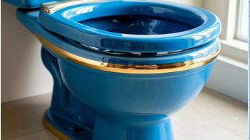 Как самому поставить арматуру в бачок унитаза?