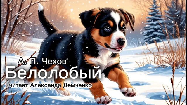 "Белолобый". Чехов А.П. | Аудиокнига. Чтилум. Александр Демченко