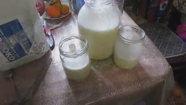 весенние подкормки пчел - белково молочная подкормка для лучшего развития пчел, 7.04.2026