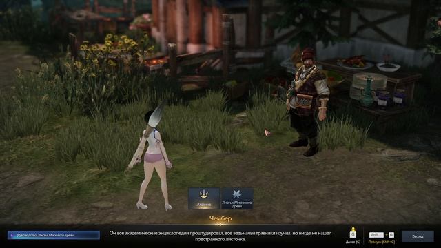 Лост Арк - Западная Лютерия - Часть 8