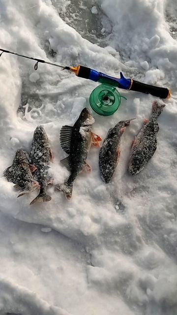 Клёвая лунка