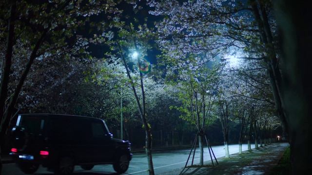 23  Любовь между строк (Китай 2026)