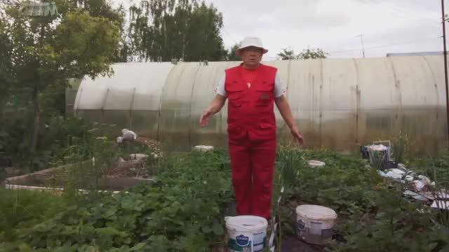 Борьба со слизнями