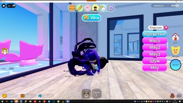 играем в игру с котятами