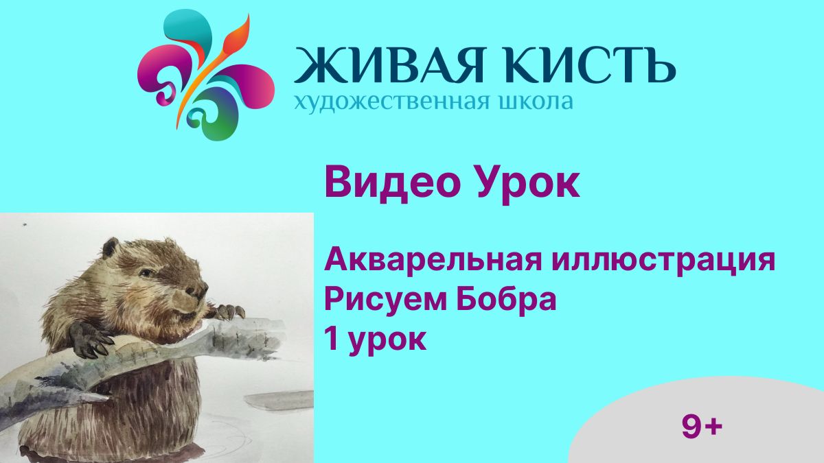 Рисуем Бобра. Акварельная иллюстрация