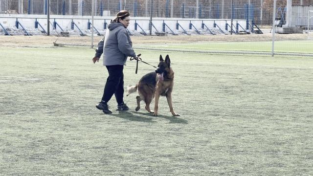 1.  выражено/перв PACIFIC RIM ZHIVAGO (De Orse Mak Flai Hard-Rock – Justina Armagedonas)