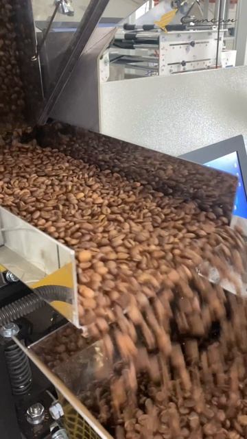 Дозатор Сапсан