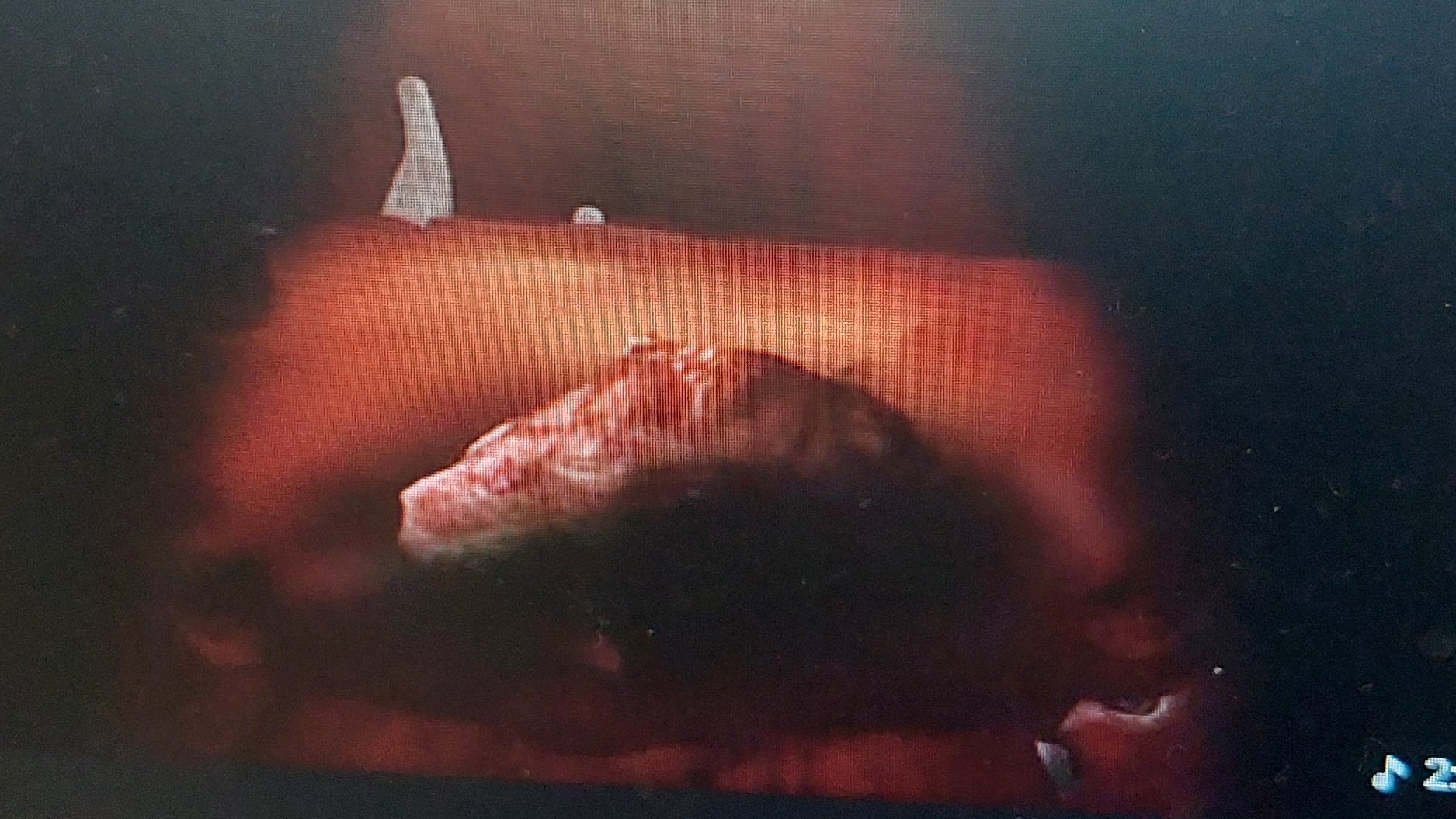 Малиновый остров полная песня Crimson island full song msm