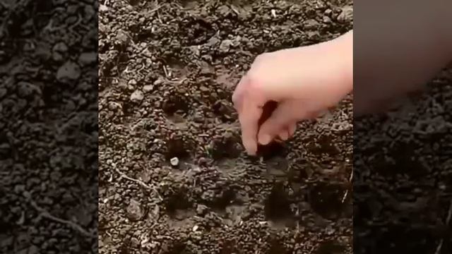 18 приспособления для дачи