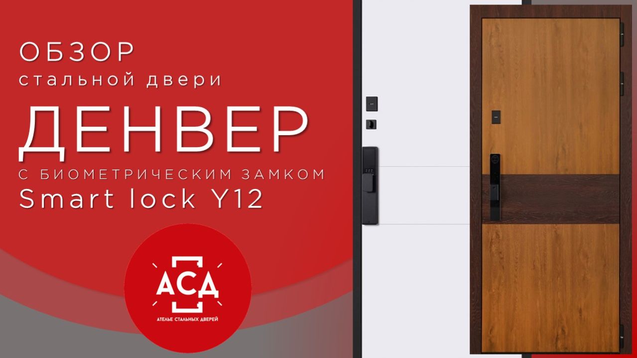 Стальная дверь Денвер с биометрическим замком Smart Lock Y12. Заказная модель.