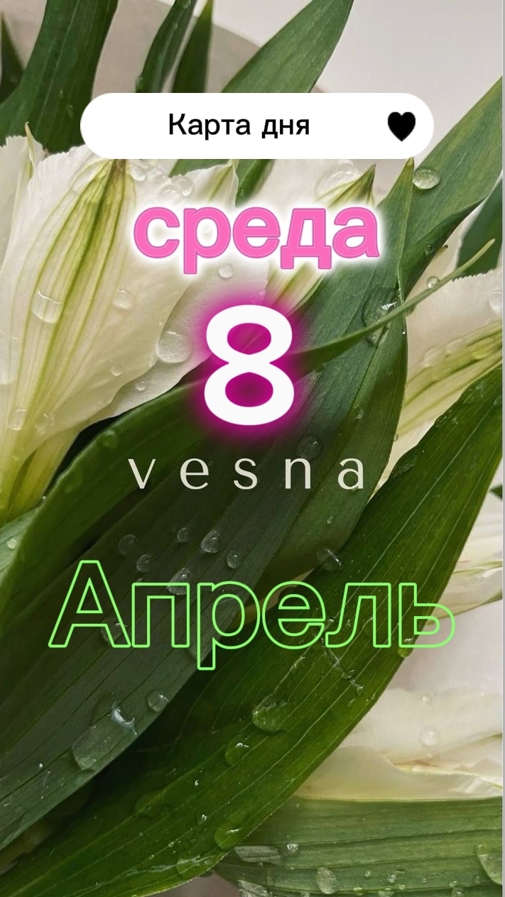 🌟10 Монет🌟 Карта дня на 08-04-2026