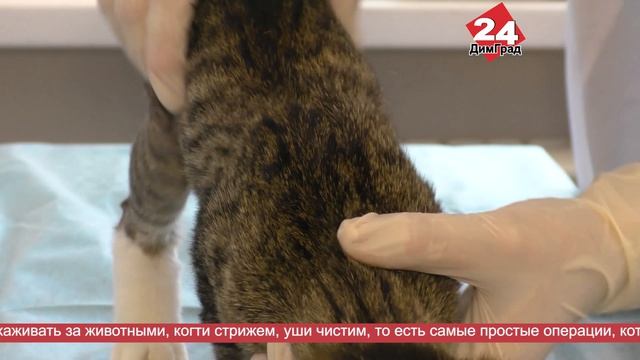 Главные новости любимого города 06.04.2026