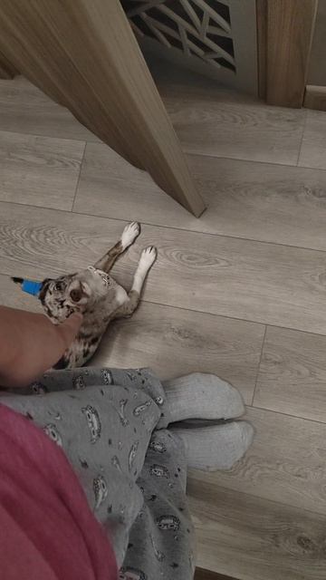 Линда и психолог.