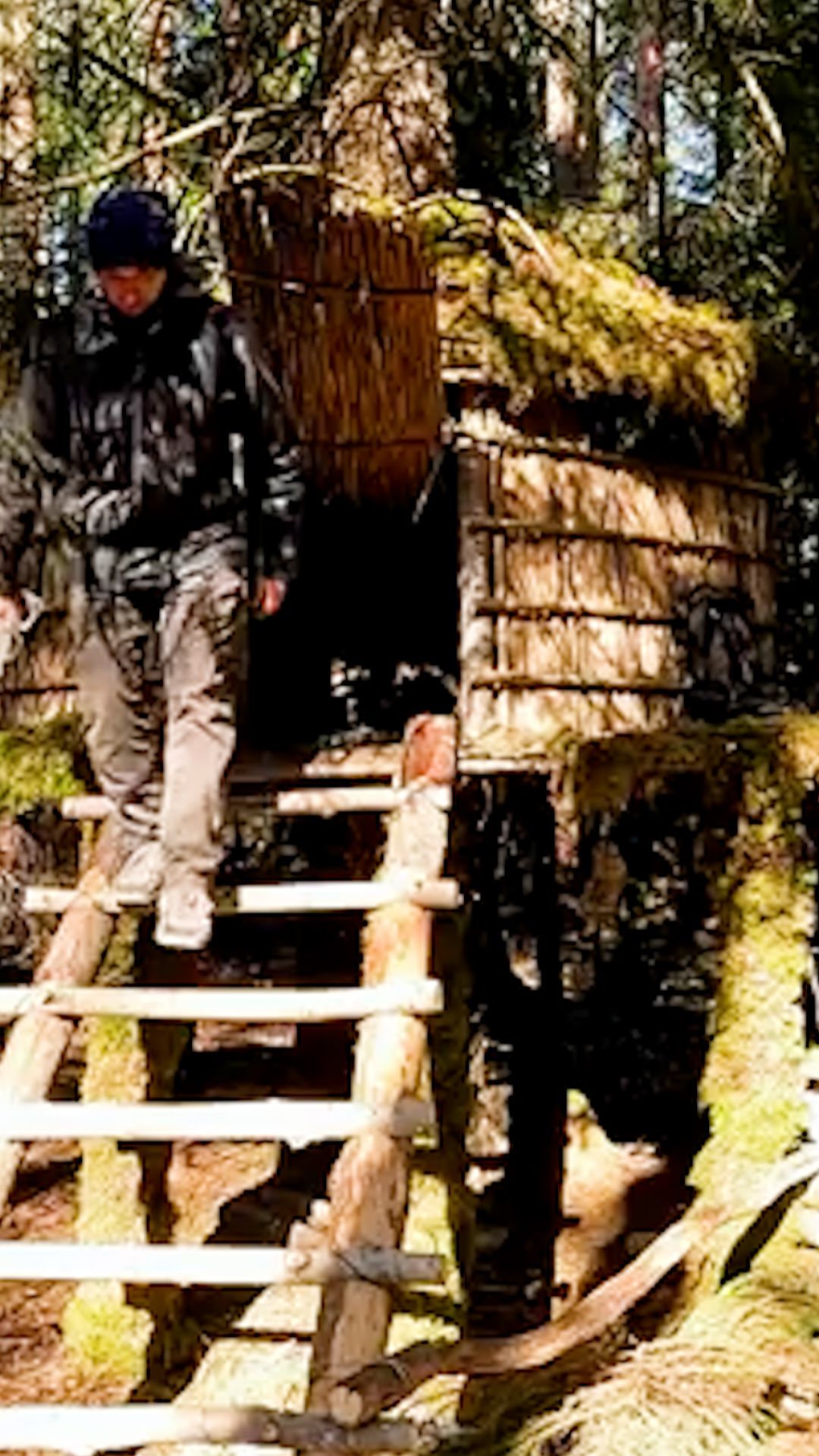 Моя Старая Хижина в Лесу