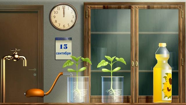 Опыты по ботанике. Дыхание корней