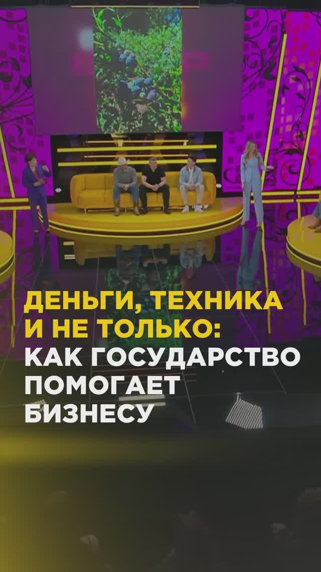 Деньги, техника и не только: как государство помогает бизнесу