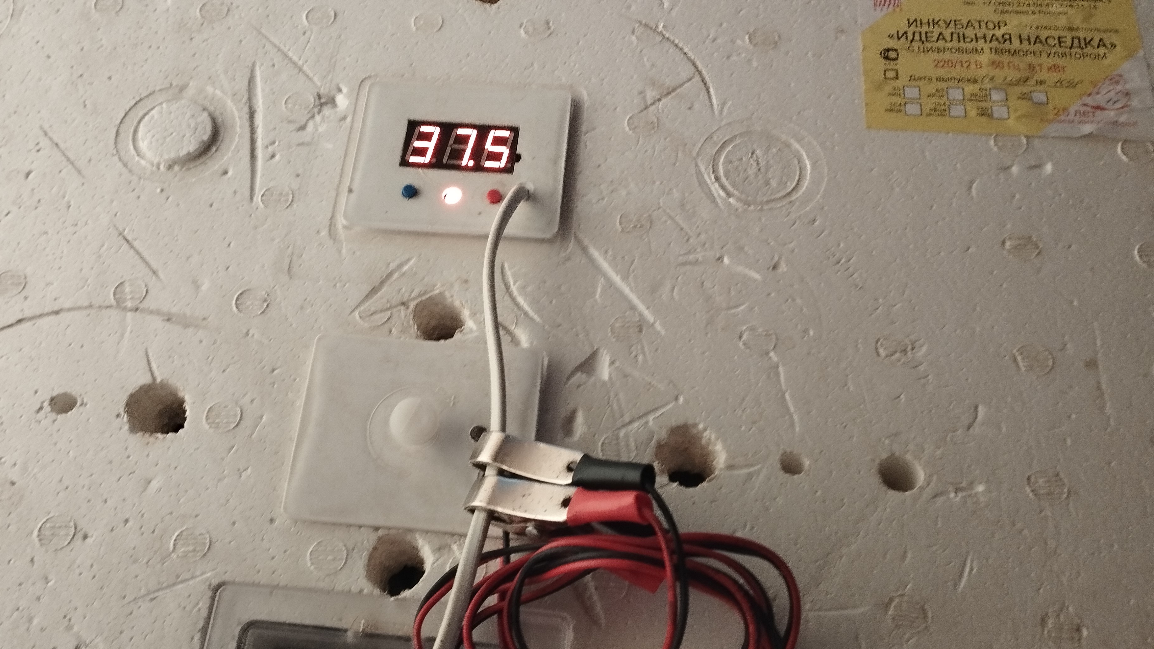 7 апреля 2026 года — выведение гусей в домашних условиях.