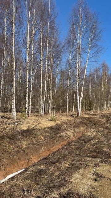 Продается земельный участок 10 соток СНТ Светлый пригород, около г.Александрова Владимирской обл.