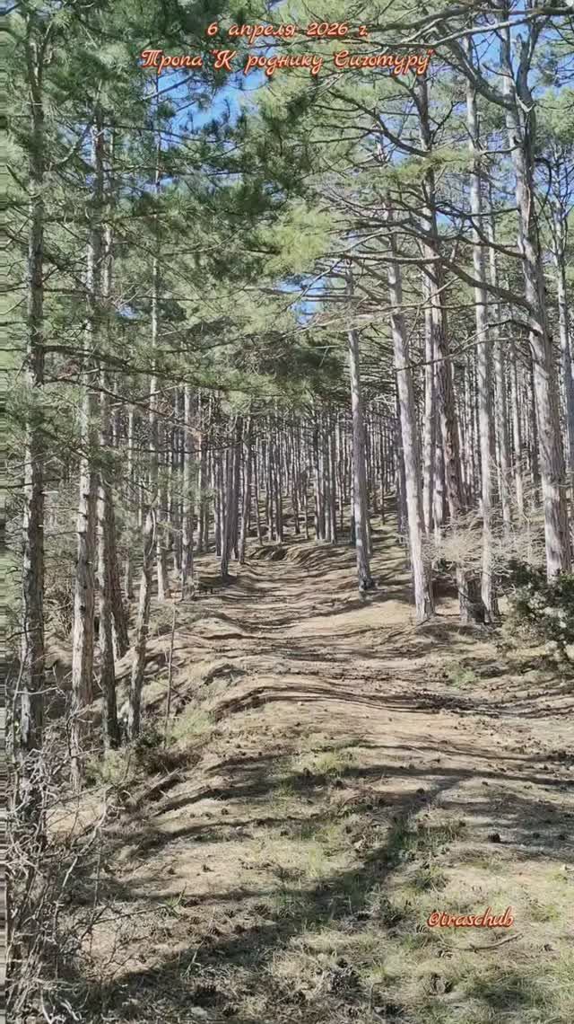 6 апреля 2026 г. Тропа "К роднику Сиготуру" #ялта #ялта2026 #васильевка #родниксиготур #сиготур