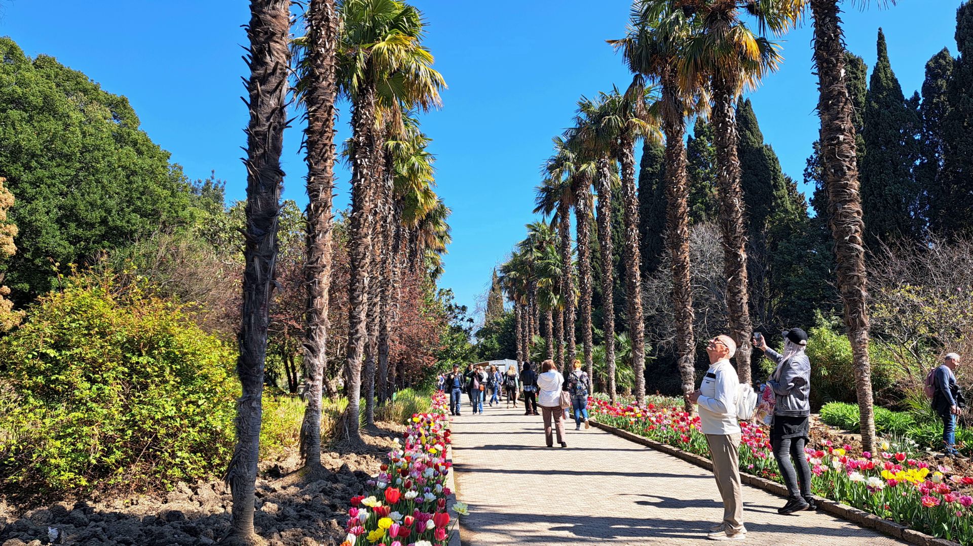 Солнечный апрель в Никитском Ботаническом Саду