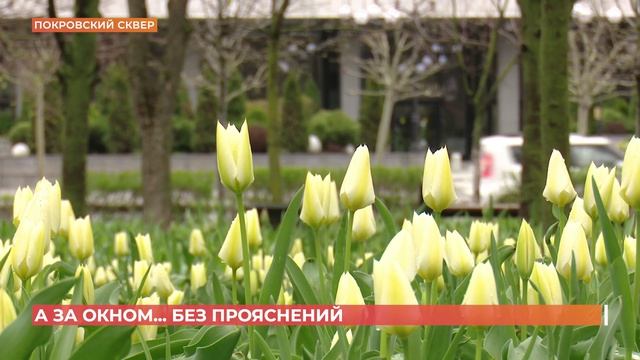 А за окном. 7 апреля 2026