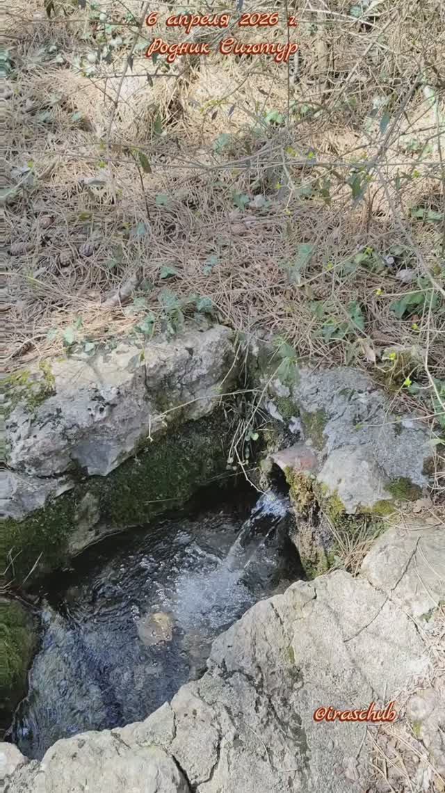 6 апреля 2026 г. Родник Сиготур #ялта #ялта2026 #васильевка #родниксиготур #сиготур
