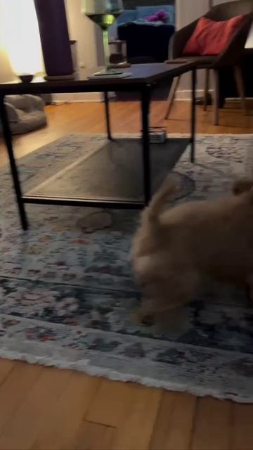 Ночные активности