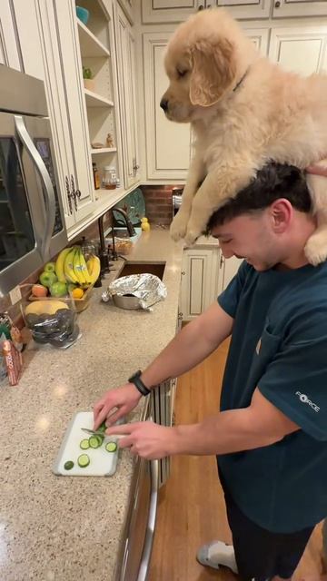 Контролирует процесс