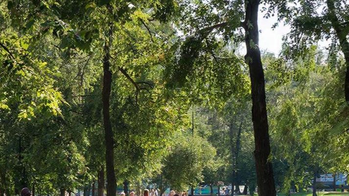 Прогулка по парку 05-04-2026