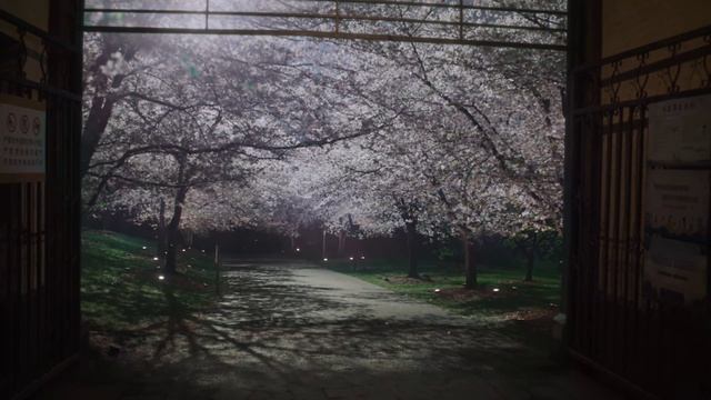 13   Любовь между строк (Китай 2026)