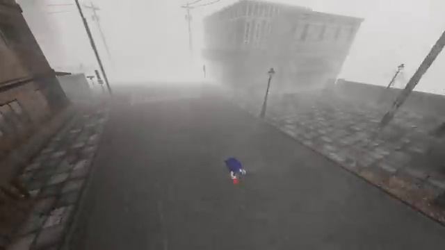 Sonic in Silent Hill Zone