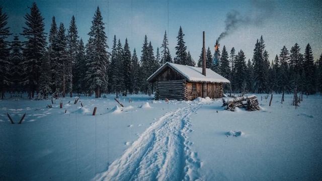 ТАЙГА НЕ ПРОЩАЕТ_ 5 историй, после которых ты БОЛЬШЕ НИКОГДА не пойдёшь в лкс ОДИН.