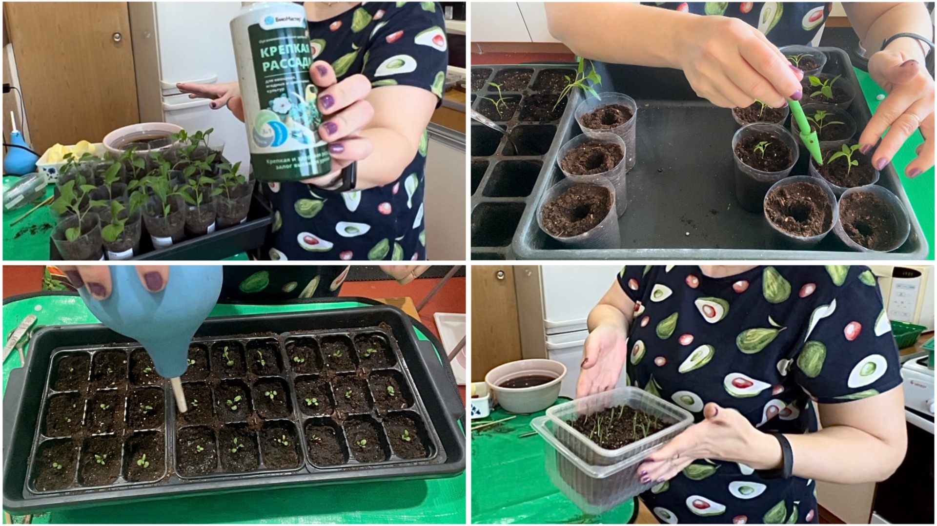 5 апреля. ЧЕМ ПОДКОРМИТЬ РАССАДУ. ПИКИРОВКА цветов.