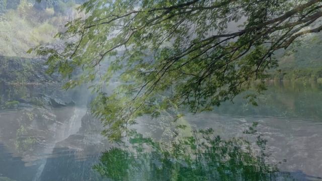 Созерцание | Пение птиц (18 минут чистых звуков природы)