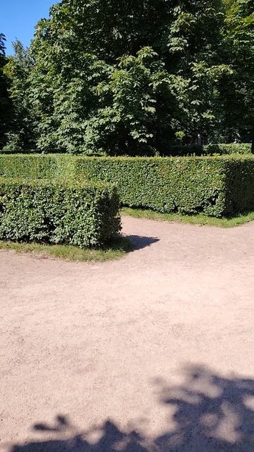 Петергоф. Лабиринт природа