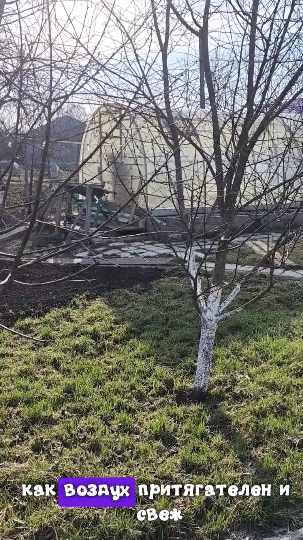 Как воздух притягателен и свеж