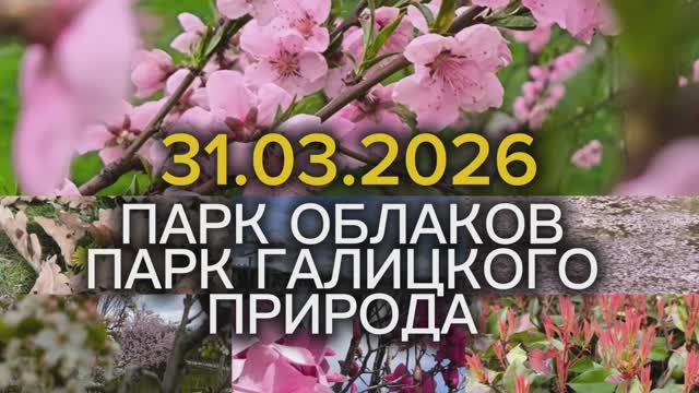 🌸😍ЦВЕТУЩАЯ ПРИРОДА ВЕСНА 31.03.2026 ПАРК ОБЛАКОВ ГАЛИЦКОГО КРАСНОДАР: МАГНОЛИЯ СЛИВА ВИШНЯ МИНДАЛЬ