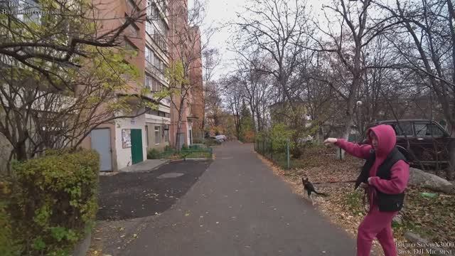 Кисловодск. Утренняя прогулка. Пекарня Пышечка. День 2-й, часть 2-я. 13.11.2025.