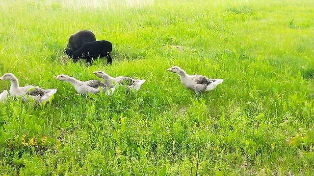 выездная бригада массажистов))