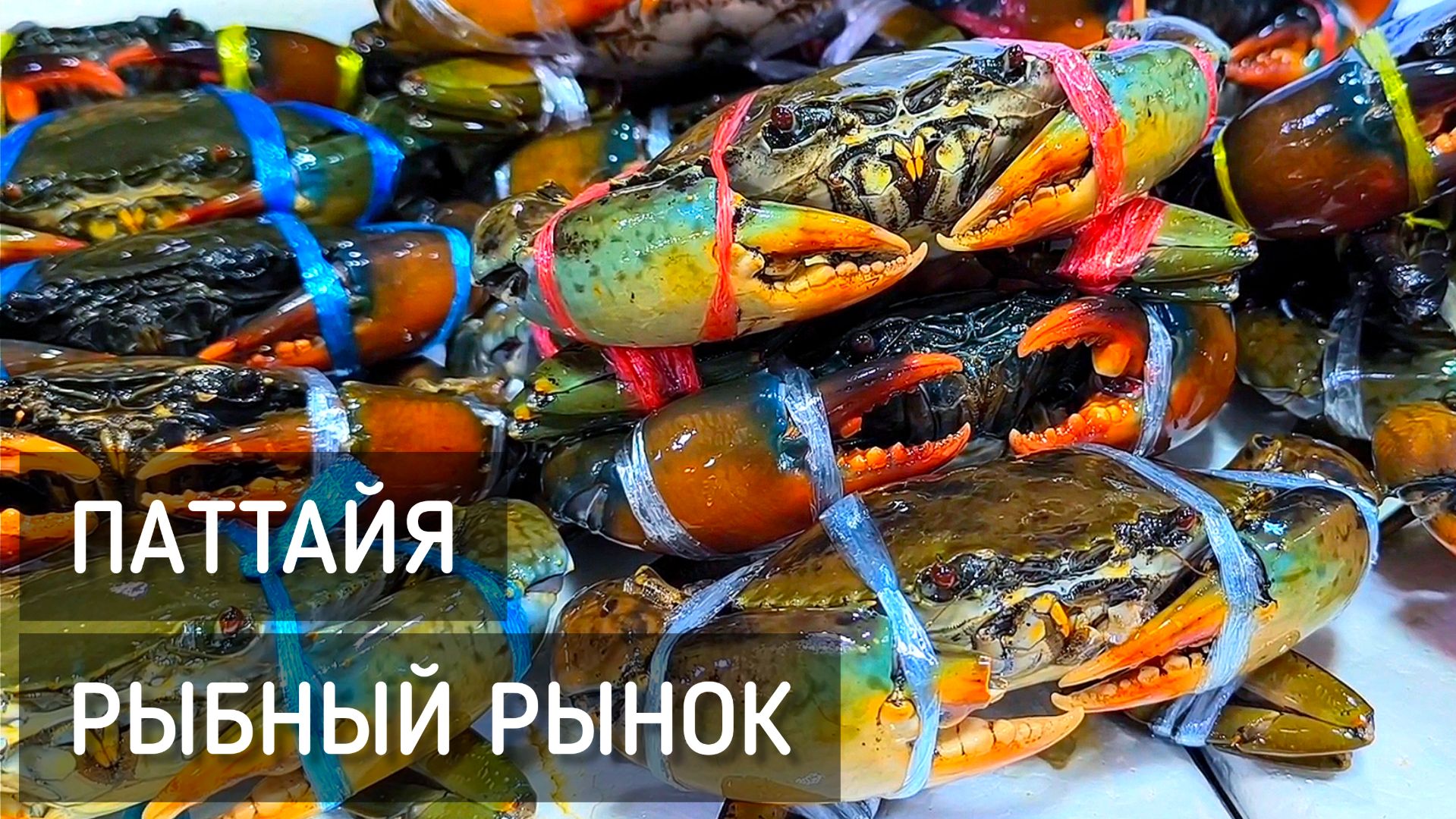 Рыбный рынок Паттайи 2025 🦐🐟 Цены и ассортимент морепродуктов / Fish Market. Pattaya 2025. Seafood