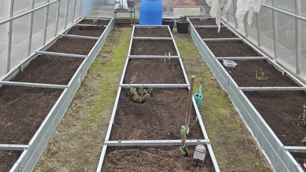 08-04-2026.Дача..Подготовка теплицы..Гортензии крупнолистные после зимовки.(05.04.-06.04.26)