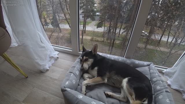 Квартира в Кисловодске. Просто отдыхаем. День 2-й,часть 5-я. 13.11.2025.