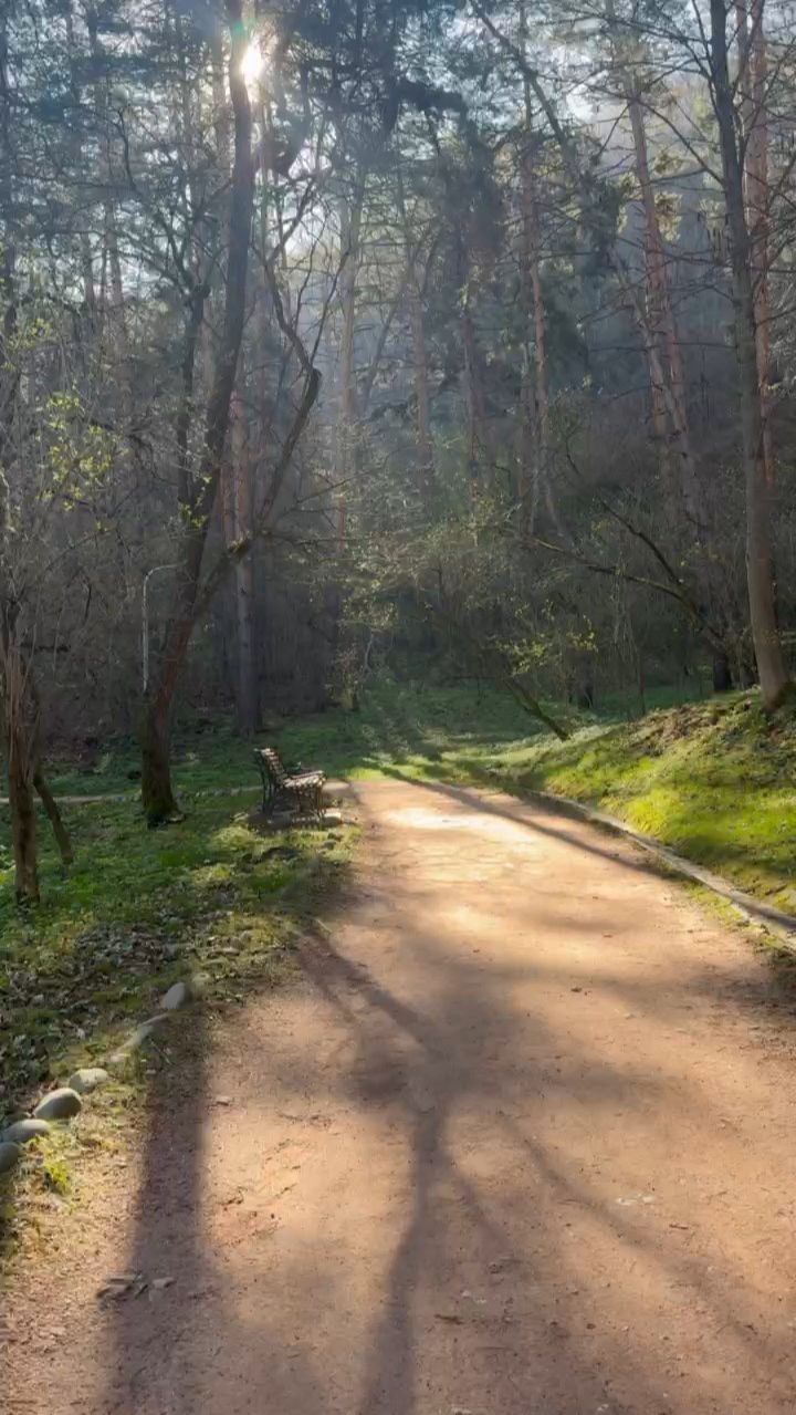 Природа без прогноза - искренний Кисловодск