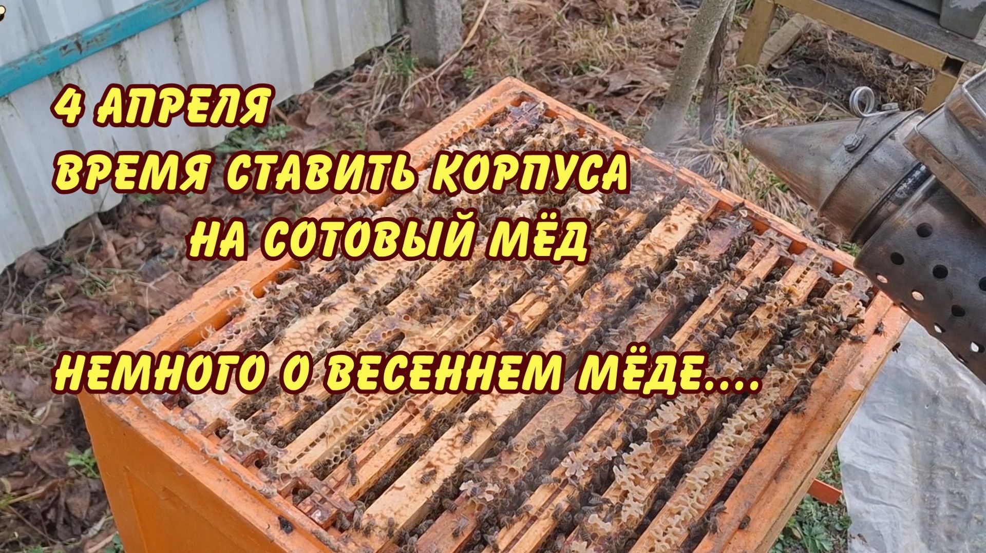 пчеловодство, 4 апреля время ставить корпуса на сотовый мёд ДА
