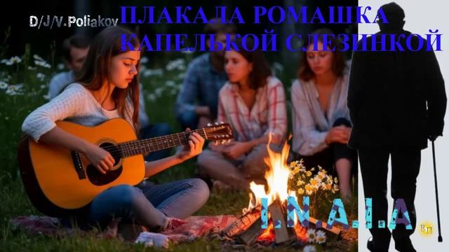 плакала ромашка капелькой слезинкой